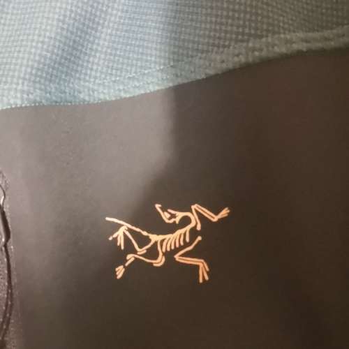 Arc'Teryx CA 34438 jacket windbreaker Arcteryx 不死鳥外套 - 二手或全新服裝, 潮流及名牌 ...