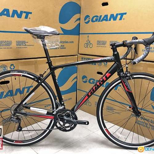 全新 GIANT SCR 2 入門 road bike (RB 單車) 一年免費保用 - 二手或全新單車, 單車及運動 - DCFever.com