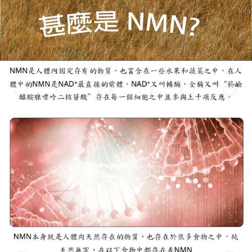 NMN 15000 抗衰老nad+ DNA 修復腸溶膠囊(60粒) - 二手或全新其它, 其它 - DCFever.com