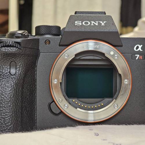Sony a7r4 - 二手或全新無反相機, 攝影產品 - DCFever.com
