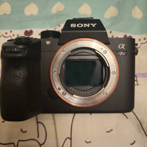 Sony a7r3 - 二手或全新無反相機, 攝影產品 - DCFever.com