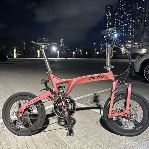 Birdy Color plus 金粉底粉紅色 - 二手或全新單車, 單車及運動 - DCFever.com