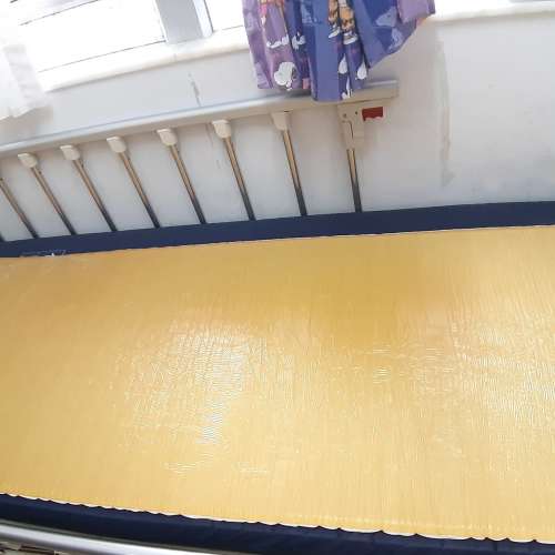 預防壓瘡潰瘍--Akton聚合物床墊--Full Mattress Overlay AKTON Polymer--二手新淨乾淨--即買即用 ...
