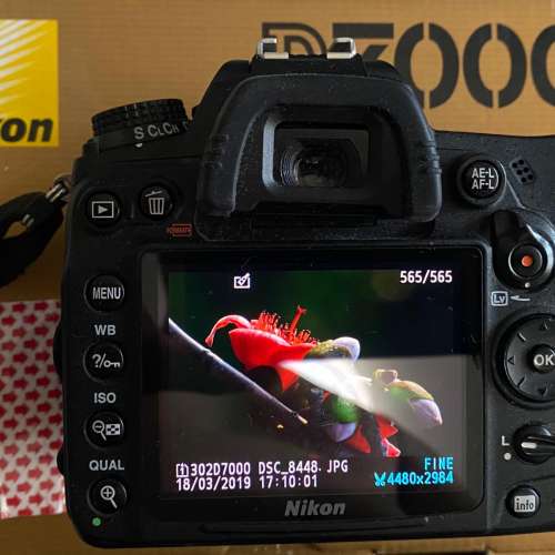 特價有盒 Nikon D7000 ( Shutter Count 只是18xxx ) - 二手或全新單鏡反光機, 攝影產品 - DCFever.com