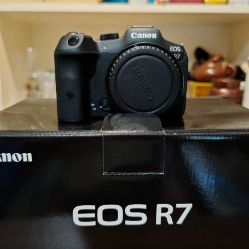 Canon R7 - 二手或全新無反相機, 攝影產品 - DCFever.com