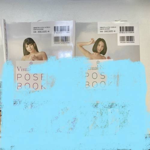 Visual Nude pose book 松岡ちな，上原亜衣 - 二手或全新書籍, 其它 - DCFever.com