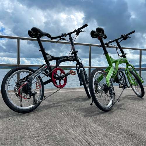 Birdy 綠色 Green - 二手或全新單車, 單車及運動 - DCFever.com