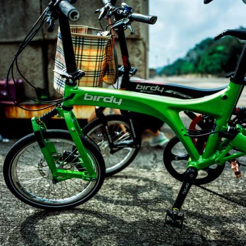 Birdy 綠色 Green - 二手或全新單車, 單車及運動 - DCFever.com