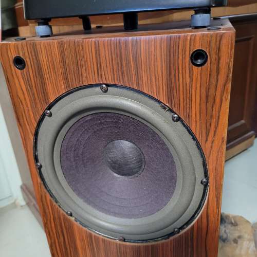 Alon II speakers - 二手或全新揚聲器, 影音產品 - DCFever.com