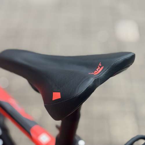 Giant mountain bike - 二手或全新單車, 單車及運動 - DCFever.com