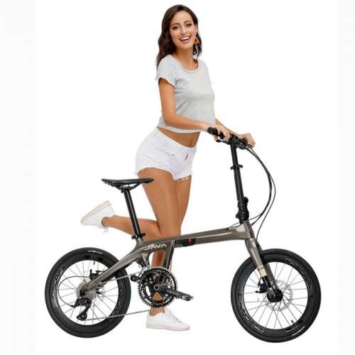 《免費送貨》JAVA ARIA-18S - 18速 碟剎 20吋(406) 碳纖 摺車 - 二手或全新單車, 單車及運動 - DCFever.com