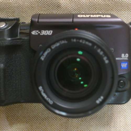 Olympus E-300 +AF14-42mm 大 3/4 - 二手或全新單鏡反光機, 攝影產品 - DCFever.com