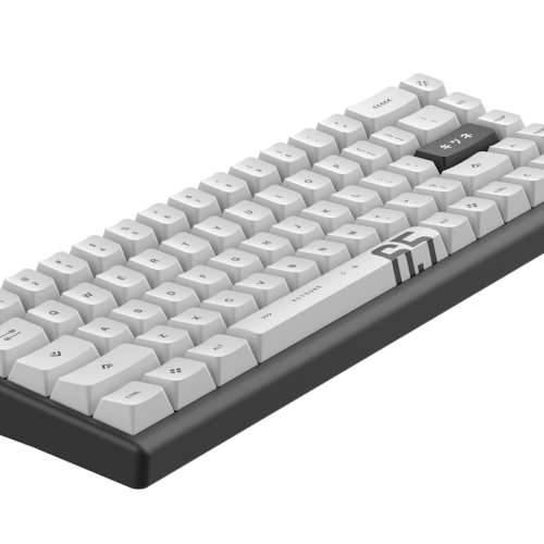KITSUNE - Polar 65 PRO Magnetic Gaming Keyboard 限量 - 二手或全新鍵盤滑鼠, 電腦 ...